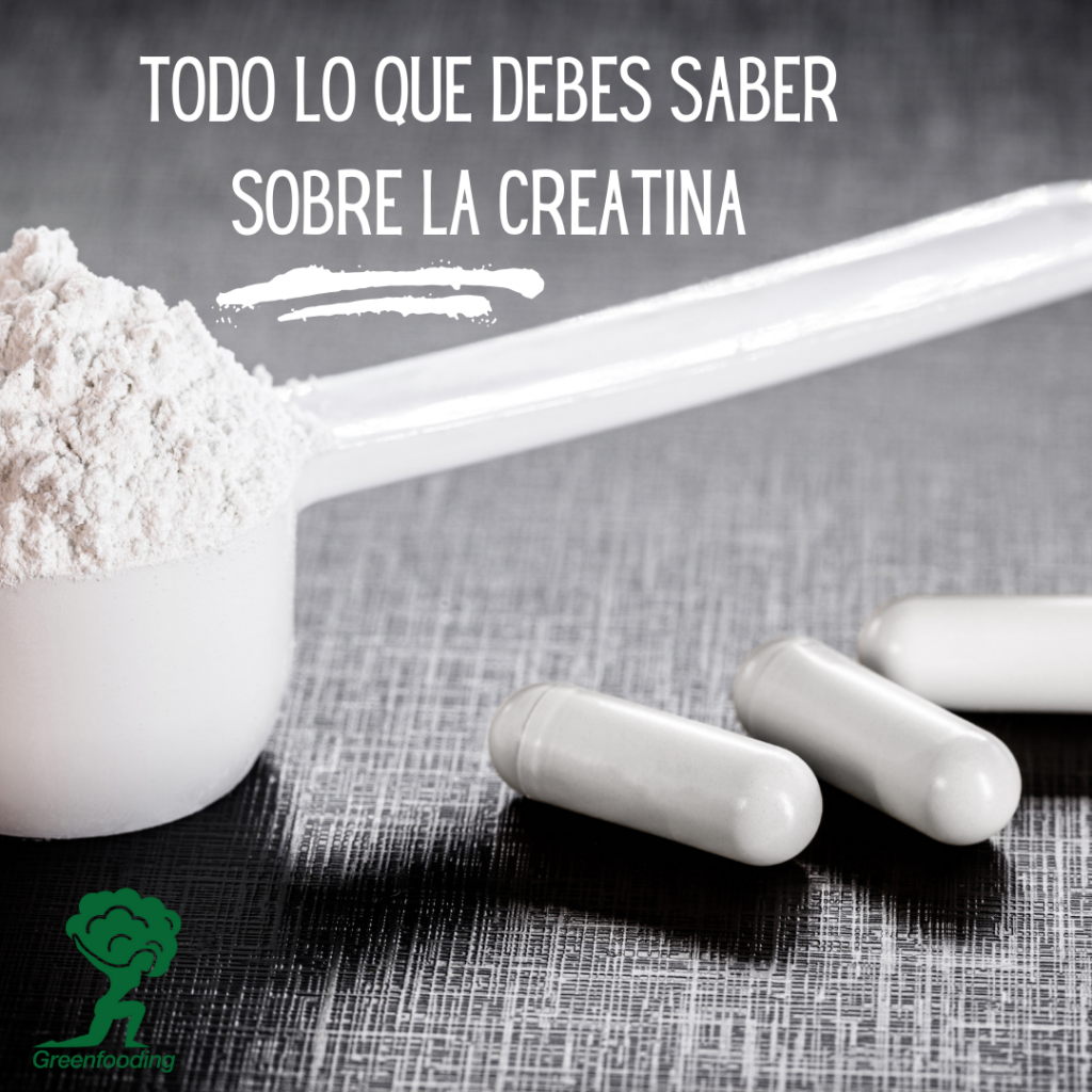 Todo Lo Que Debes Saber Sobre La Creatina Greenfooding Dietista